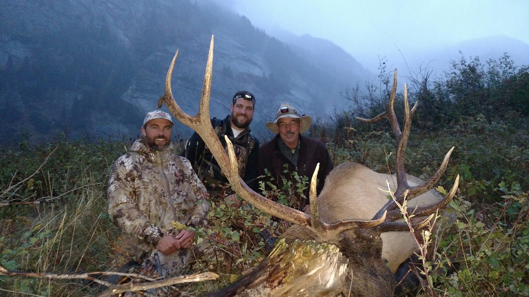 Elk Hunts - Idaho elk hunting - Bugling Elk Rifle Hunts